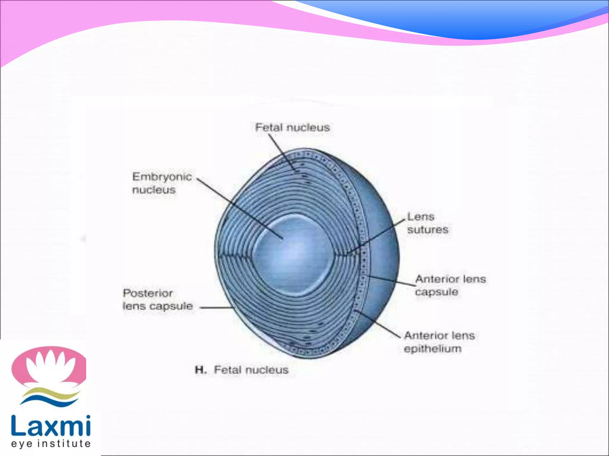 Embryology applied anatomy and physiology of lens | PPTX