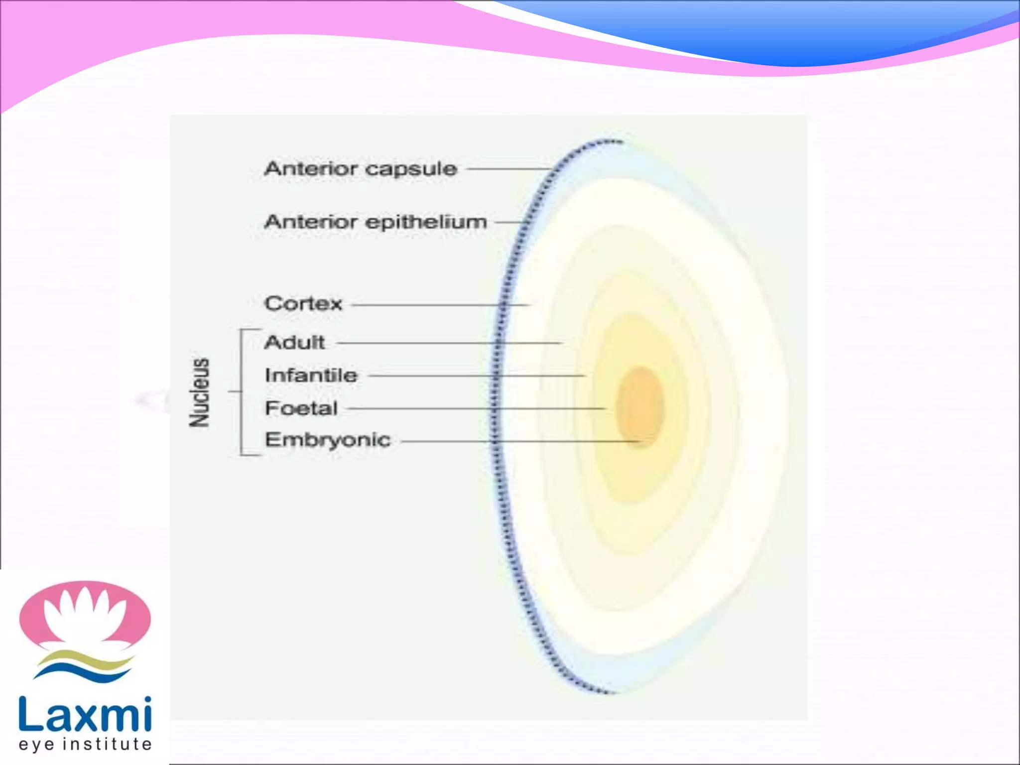Embryology applied anatomy and physiology of lens | PPT