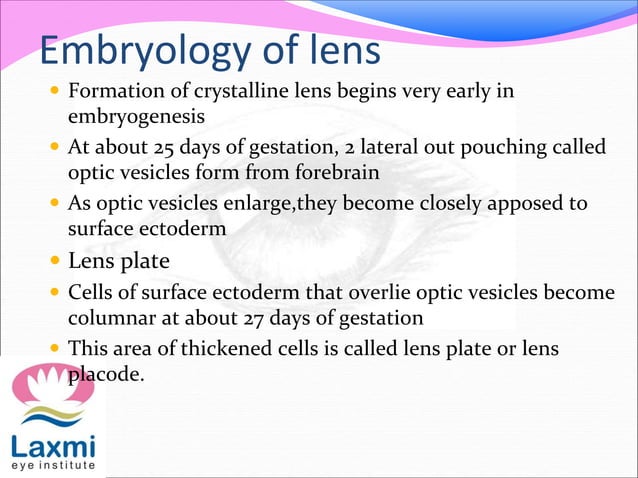 Embryology applied anatomy and physiology of lens | PPTX | Pregnancy ...