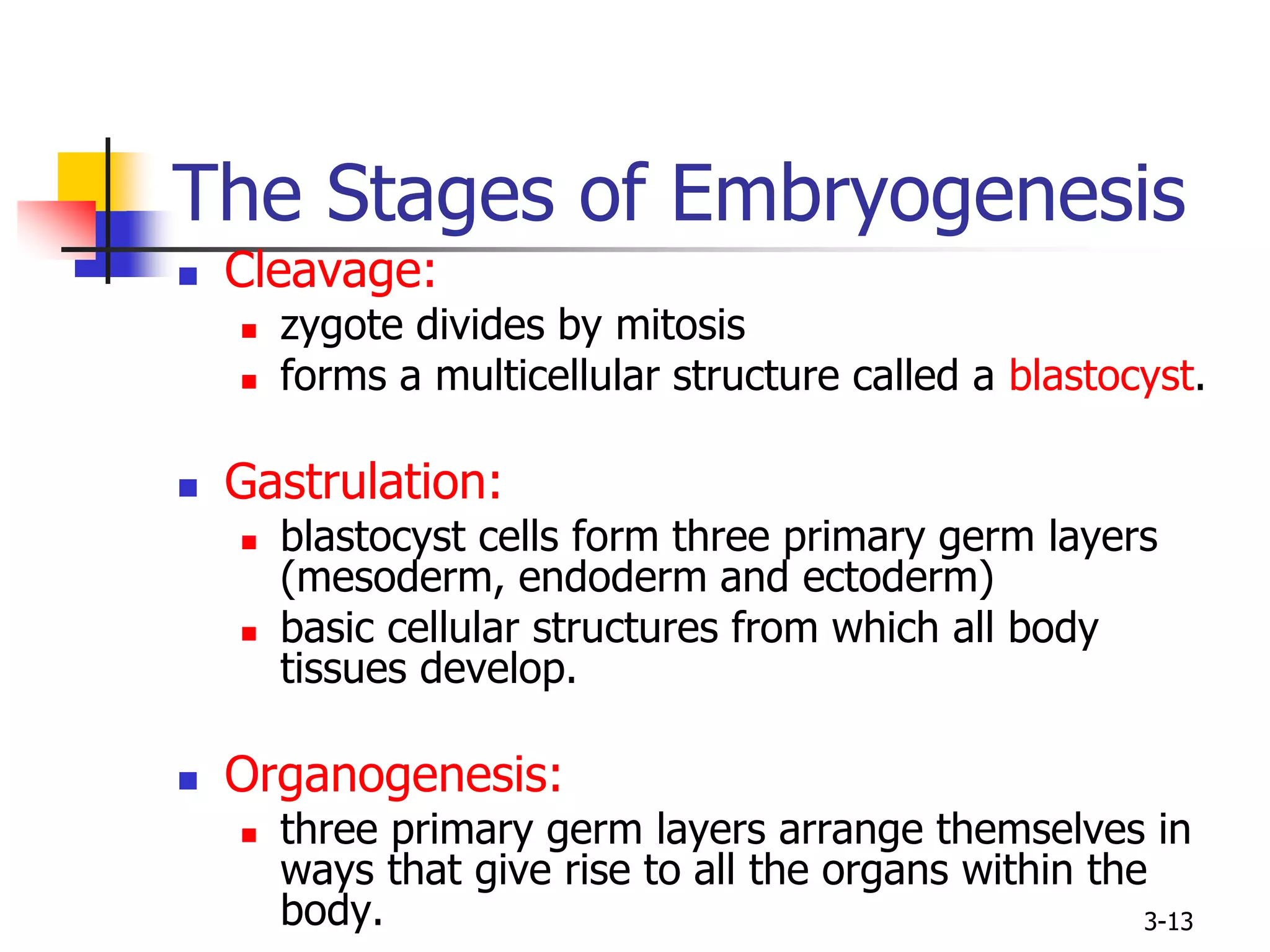 Embryology Basics PPT 2023.pptx | Pregnancy | Reproductive Health
