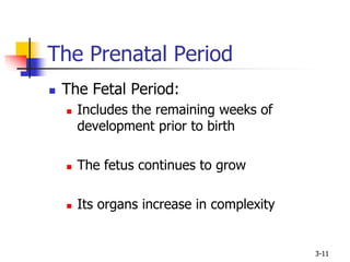 Embryology Basics PPT 2023.pptx | Pregnancy | Reproductive Health
