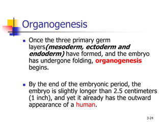 Embryology Basics PPT 2023.pptx | Pregnancy | Reproductive Health