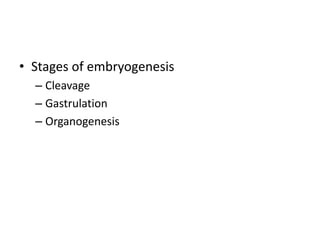 Embryology Basics PPT 2023.pptx