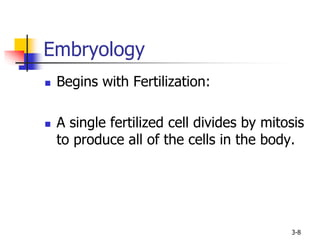 Embryology Basics PPT 2023.pptx