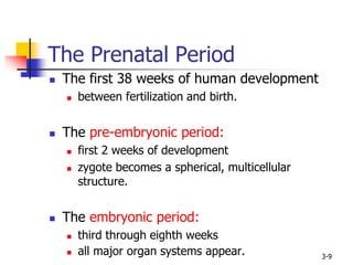 Embryology Basics PPT 2023.pptx