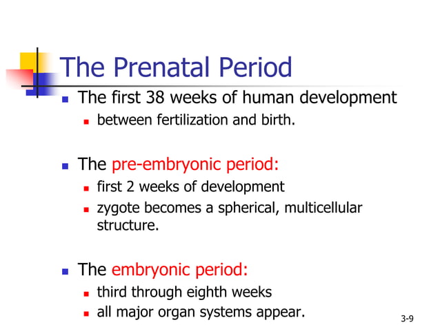 Embryology Basics PPT 2023.pptx | Pregnancy | Reproductive Health