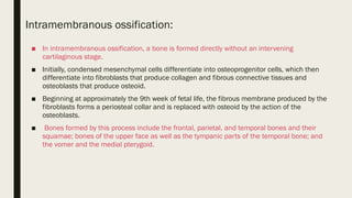 Bone formation and growth, embryology and growth | PPTX