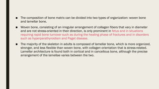 Bone formation and growth, embryology and growth | PPTX