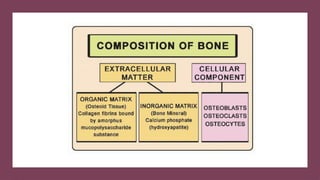 Bone formation and growth, embryology and growth | PPTX