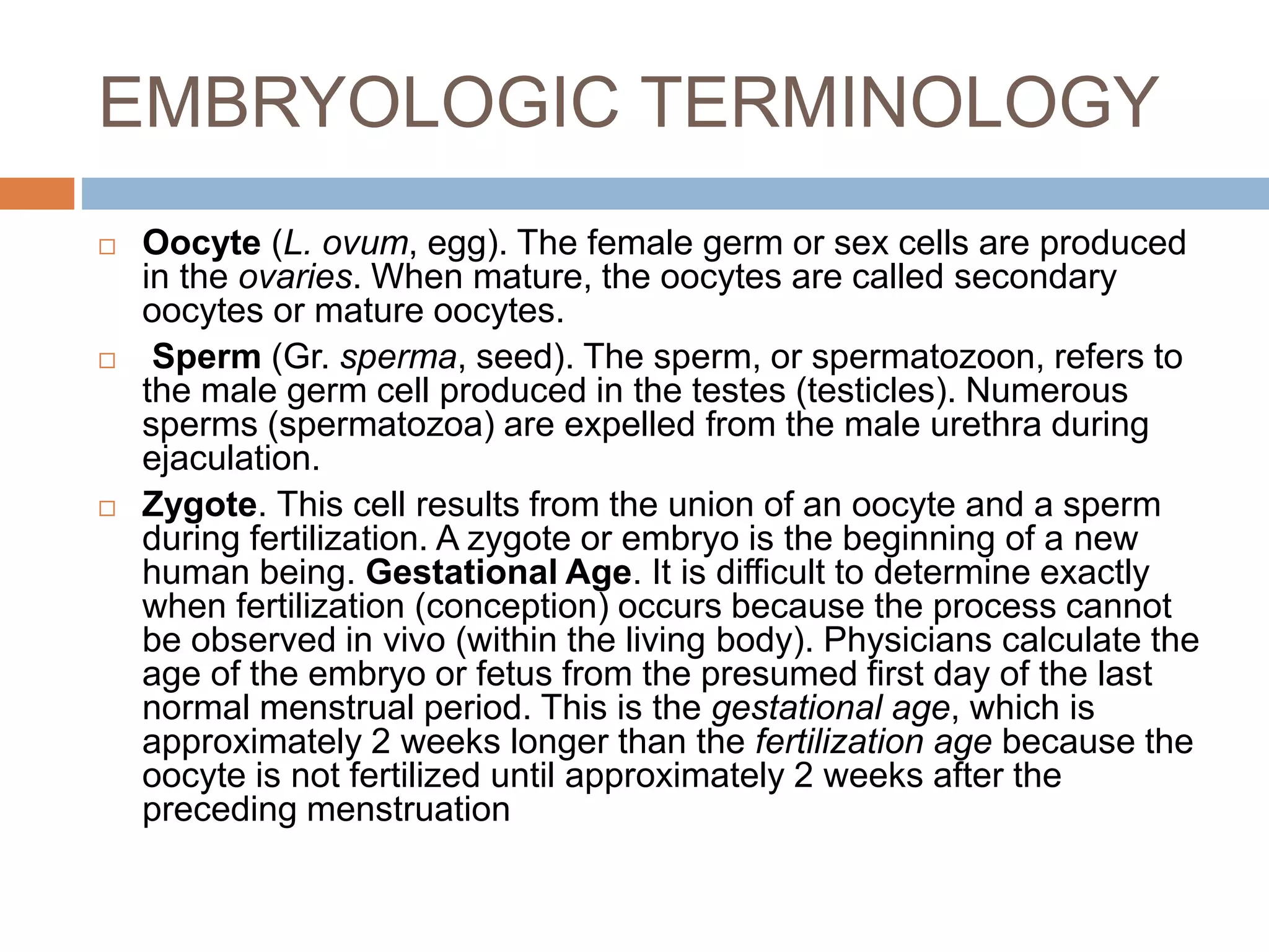 Embryology by Dr. Hafiz Moeen-ud-Din (14.03.2020).pptx