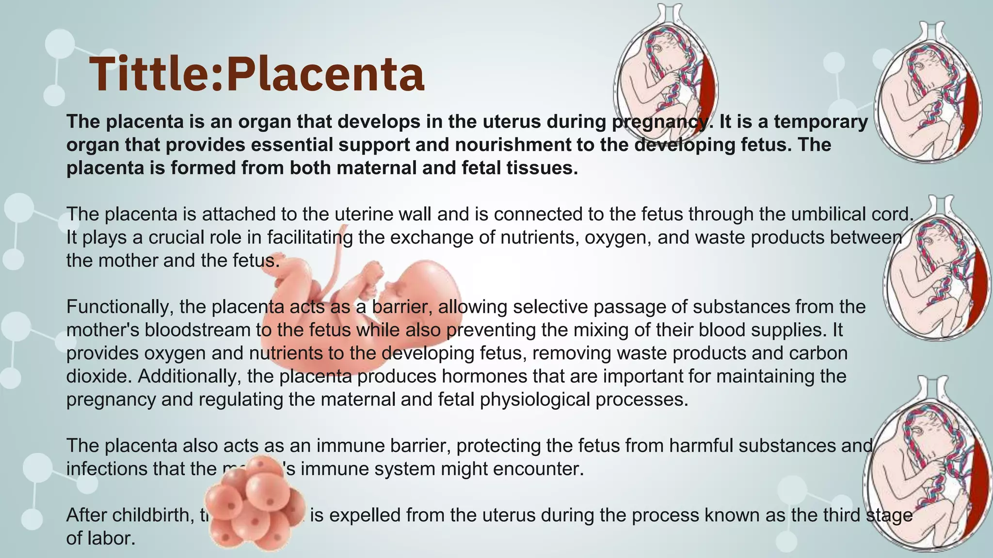 Embryology Case study_ Genome Edited Human Embryos by Slidesgo`,.pptx