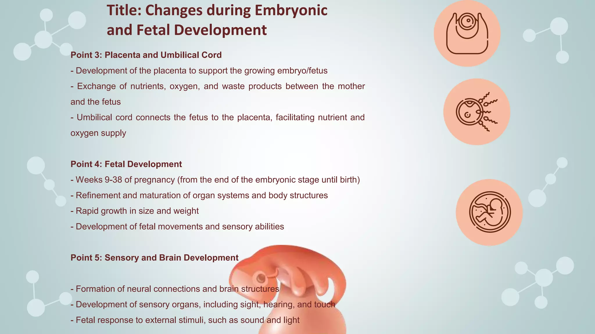 Embryology Case study_ Genome Edited Human Embryos by Slidesgo`,.pptx