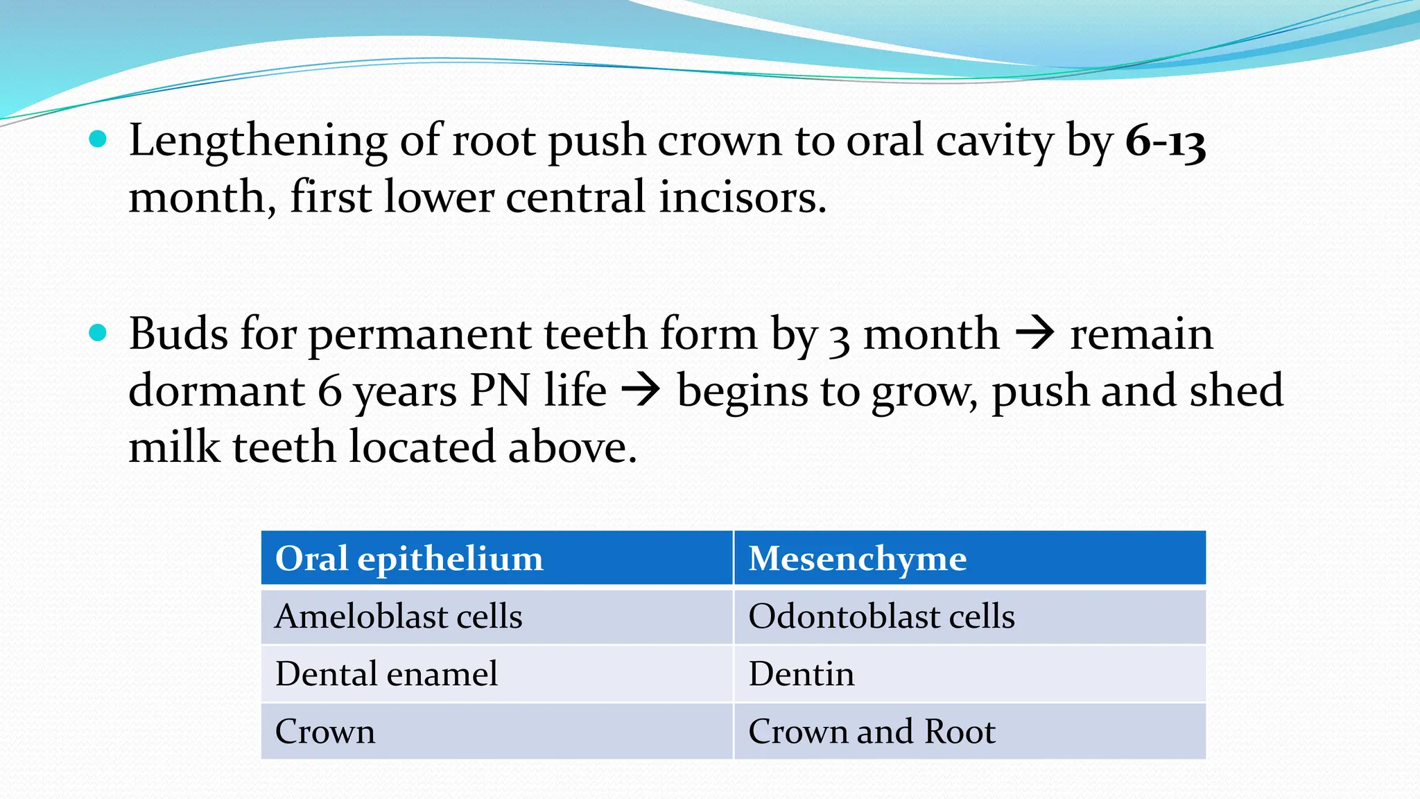 Embryology Dental and associated syndromes | PPTX