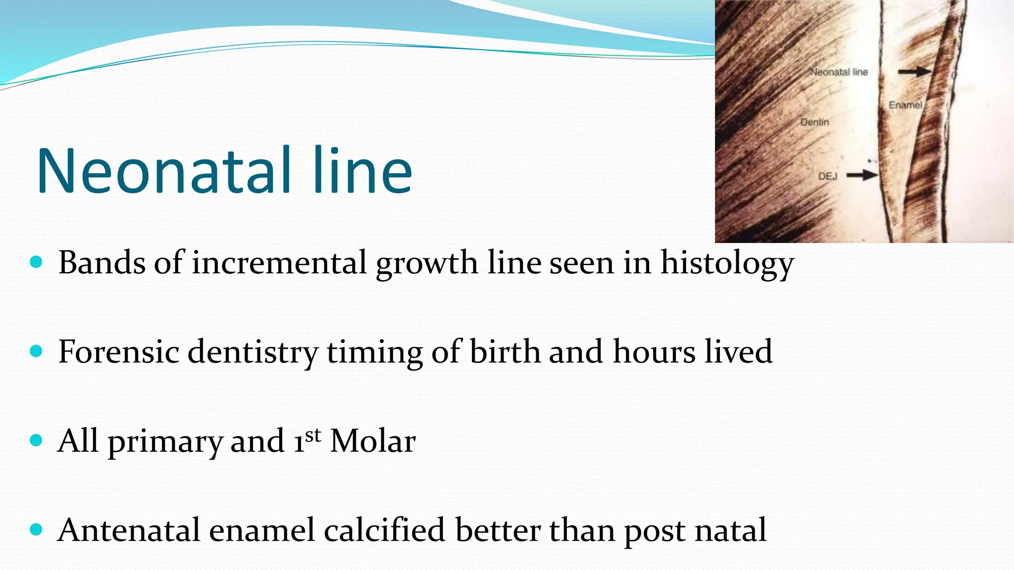 Embryology Dental and associated syndromes | PPTX | Dental Health ...