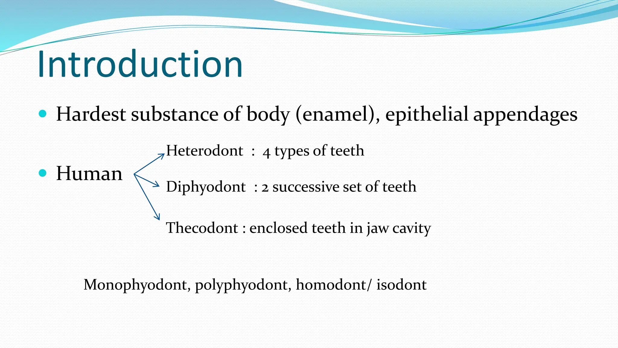 Embryology Dental and associated syndromes | PPTX