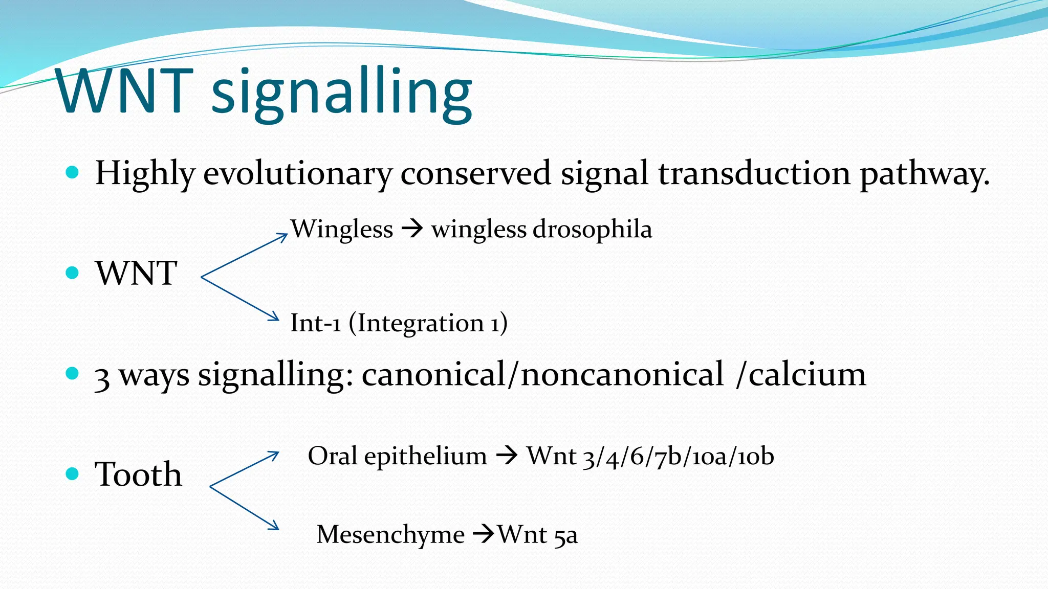 Embryology Dental and associated syndromes | PPTX