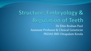 Embryology Dental and associated syndromes | PPTX | Dental Health ...