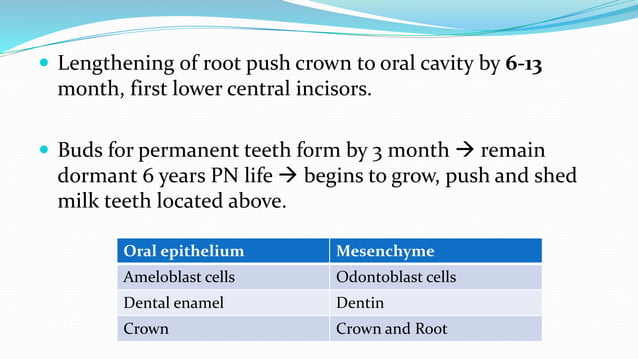 Embryology Dental and associated syndromes | PPT