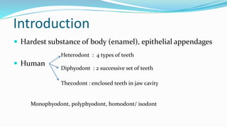 Embryology Dental and associated syndromes | PPTX | Dental Health ...
