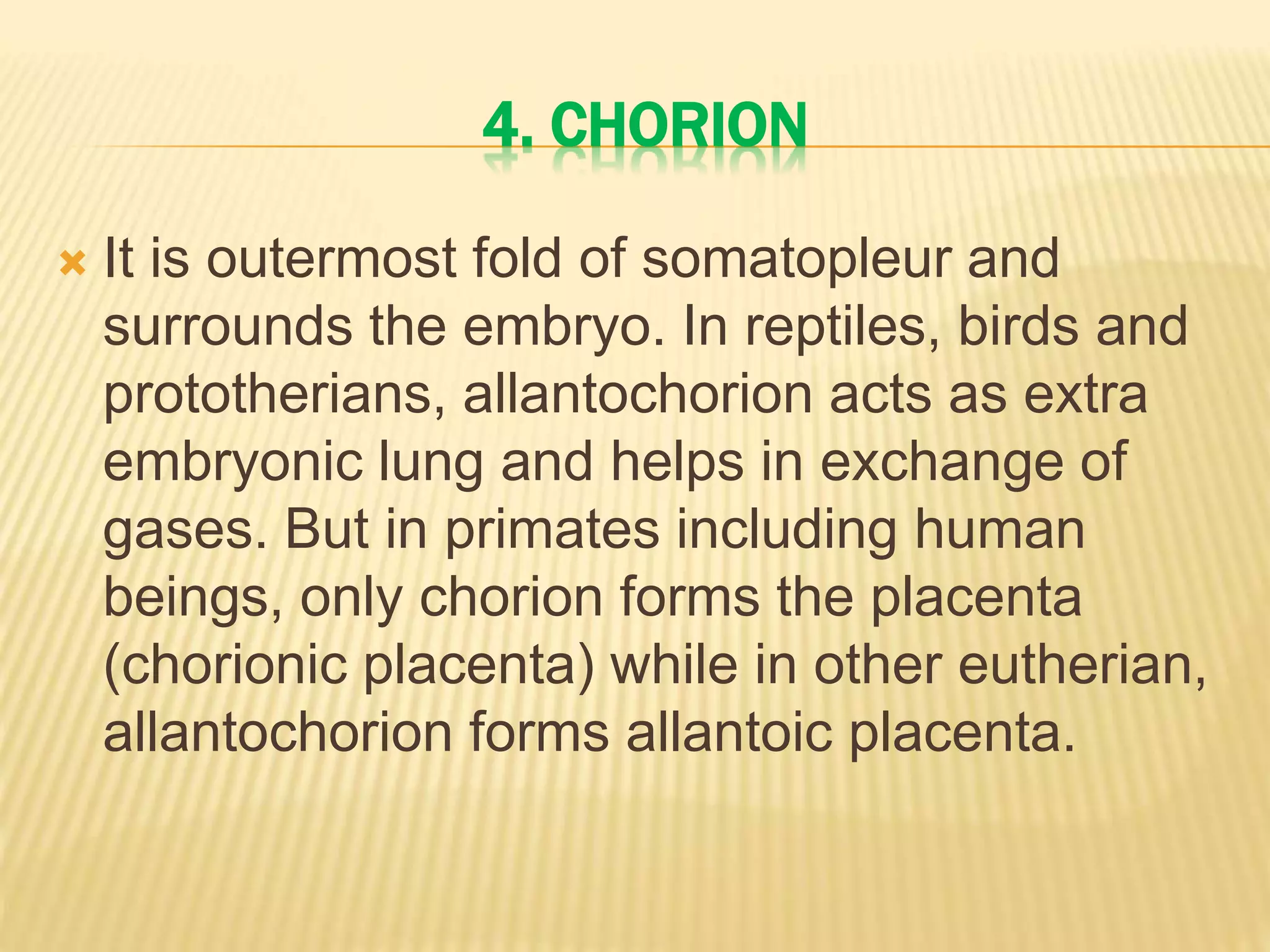 Embryology{extra embryonic membrane}(1) | PPTX
