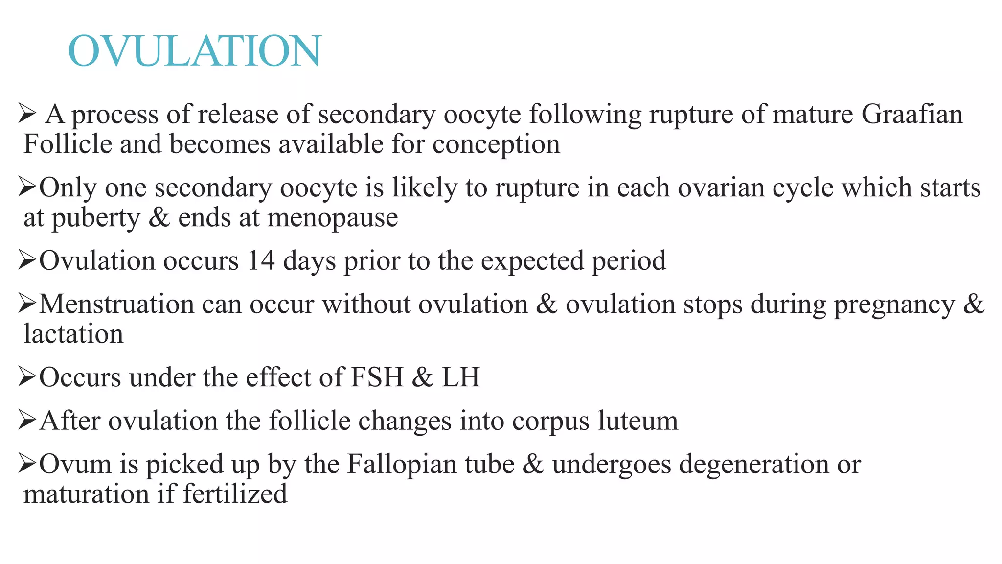 Embryology & fertilization | PPTX