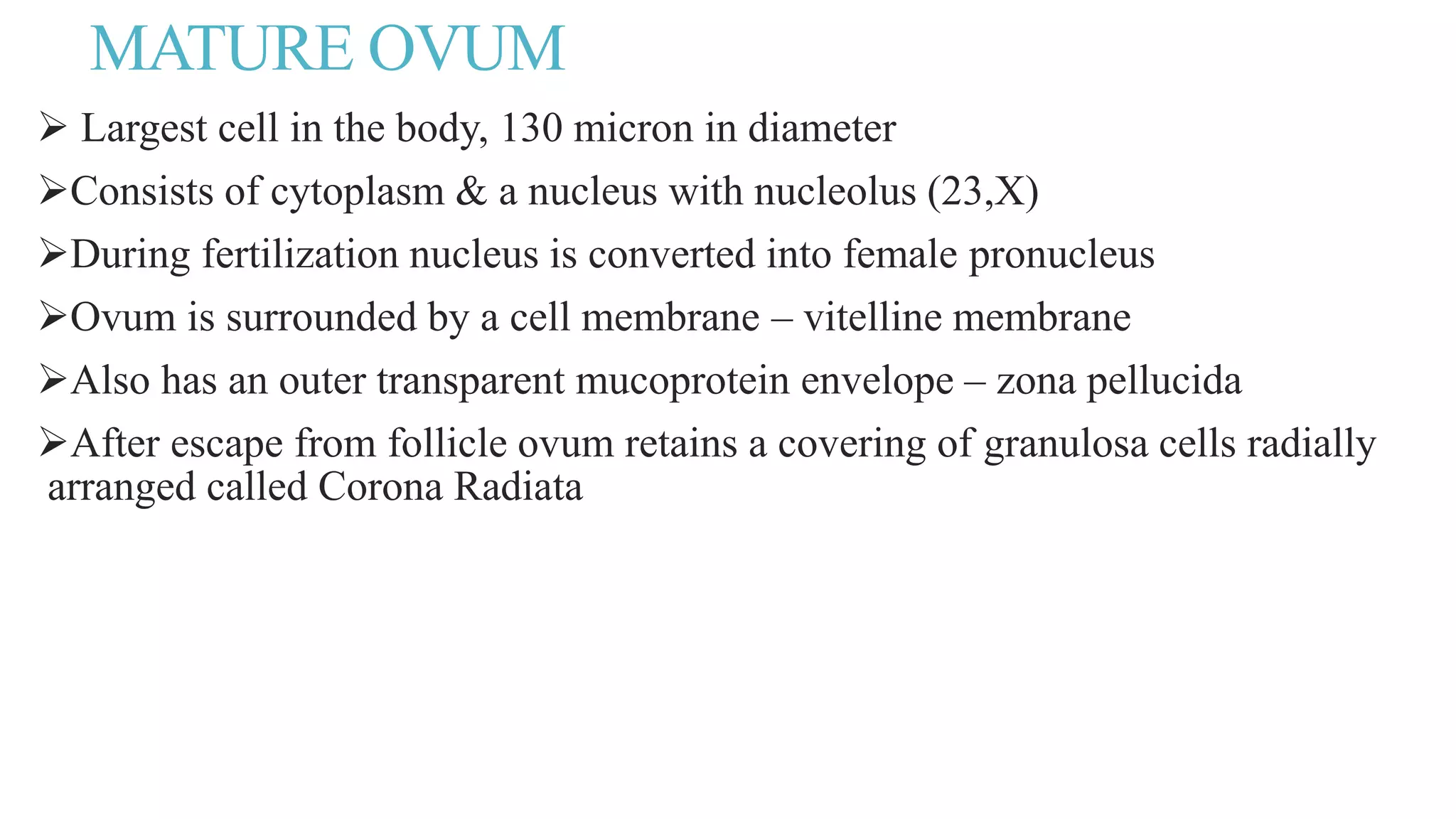 Embryology & fertilization | PPTX