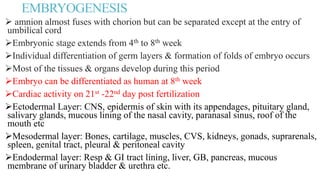 Embryology & fertilization | PPTX