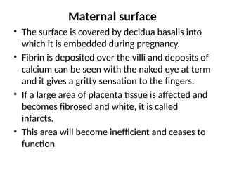 EMBRYOLOGY, FETAL GROWTH AND DEVELOPMENT.pptx