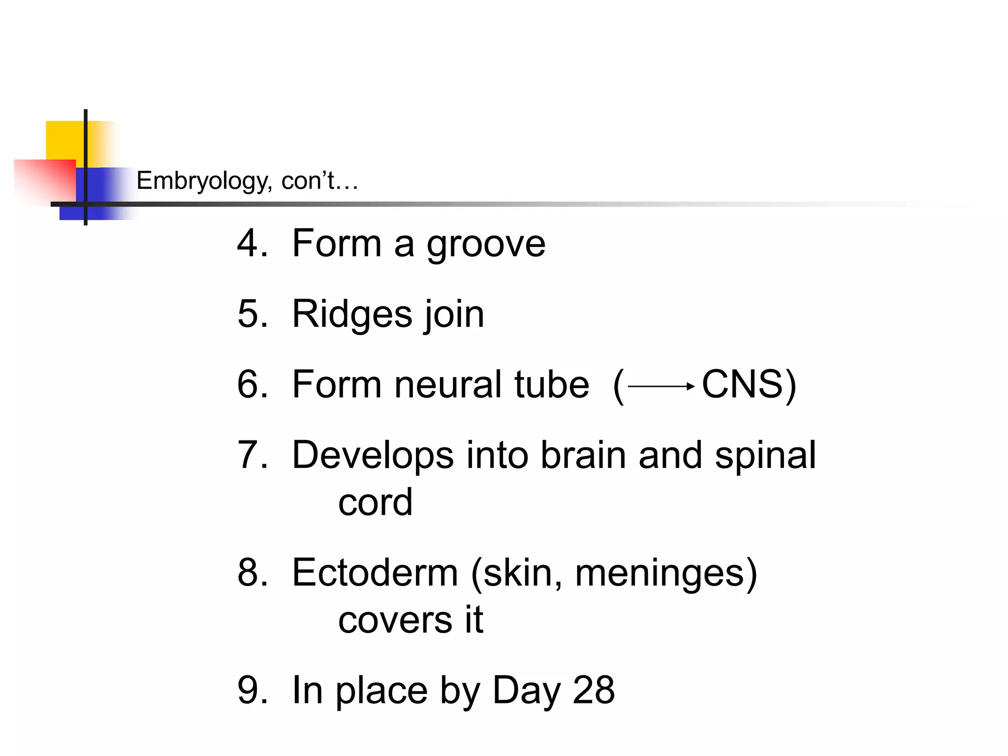 Embryology .ppt
