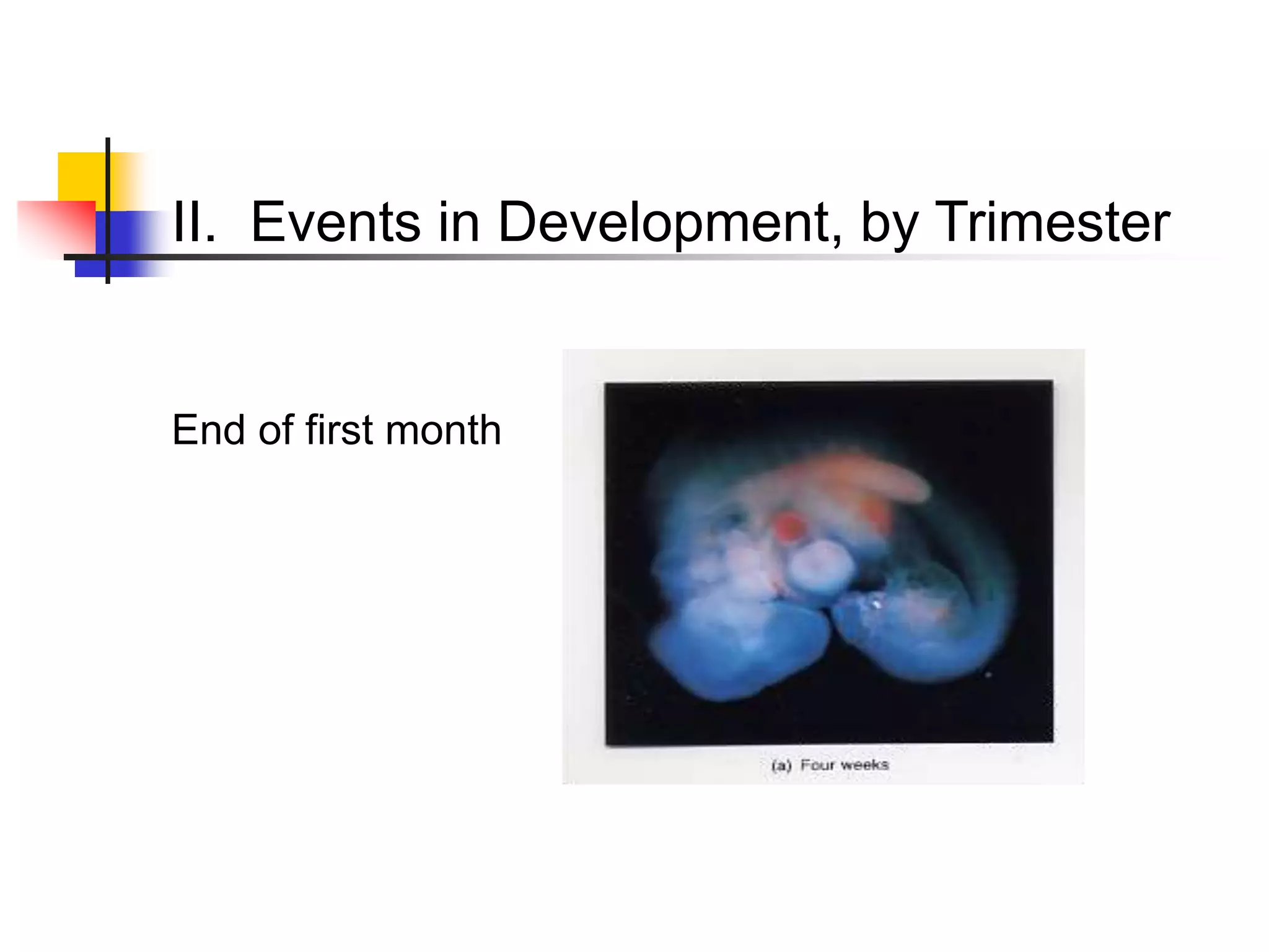 Embryology .ppt