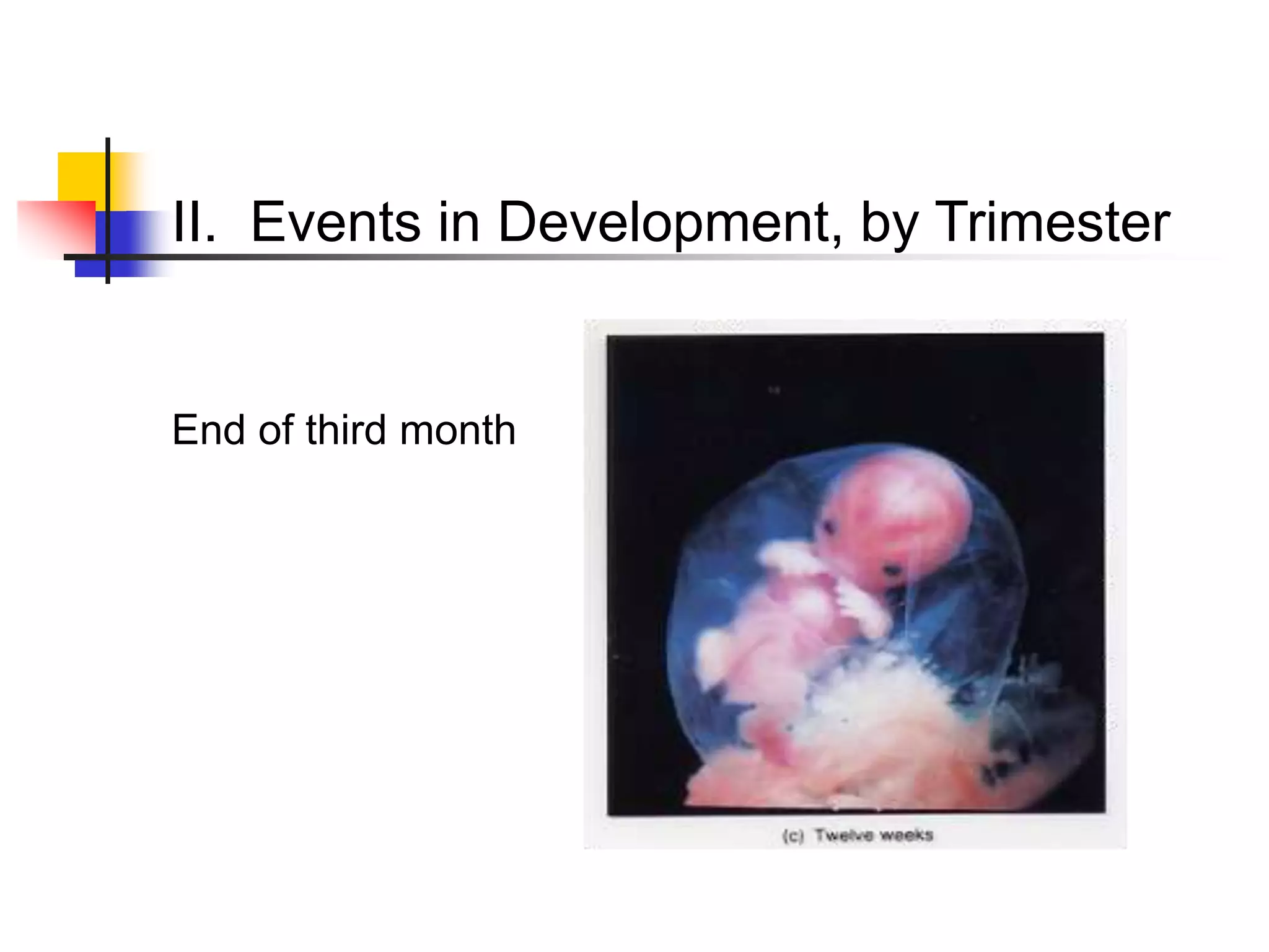 Embryology .ppt