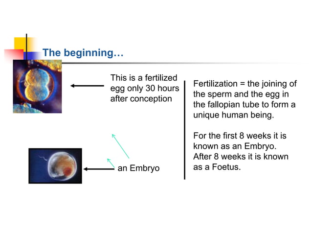 Embryology .ppt
