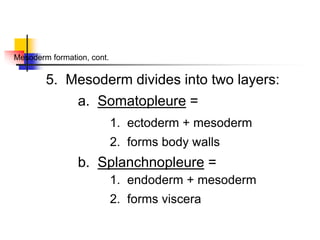 Embryology .ppt