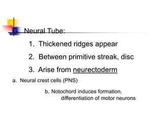 Embryology .ppt