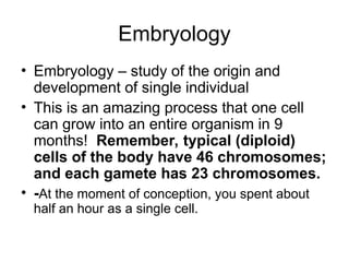 EMBRYONIC DEVELOPMENT OF THE HEART PPT.. | PPT