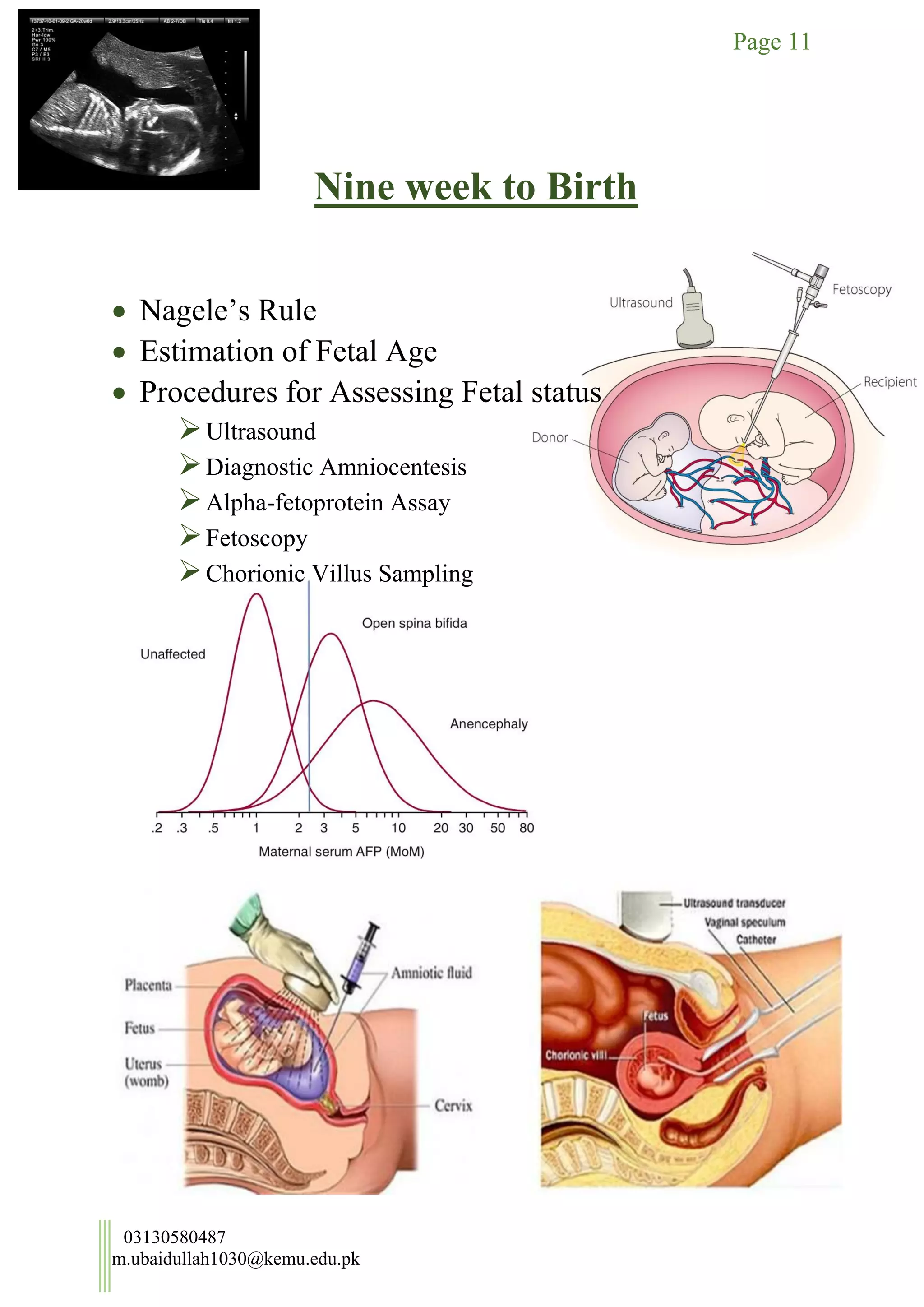 Embryology first year kemu guideline | PDF