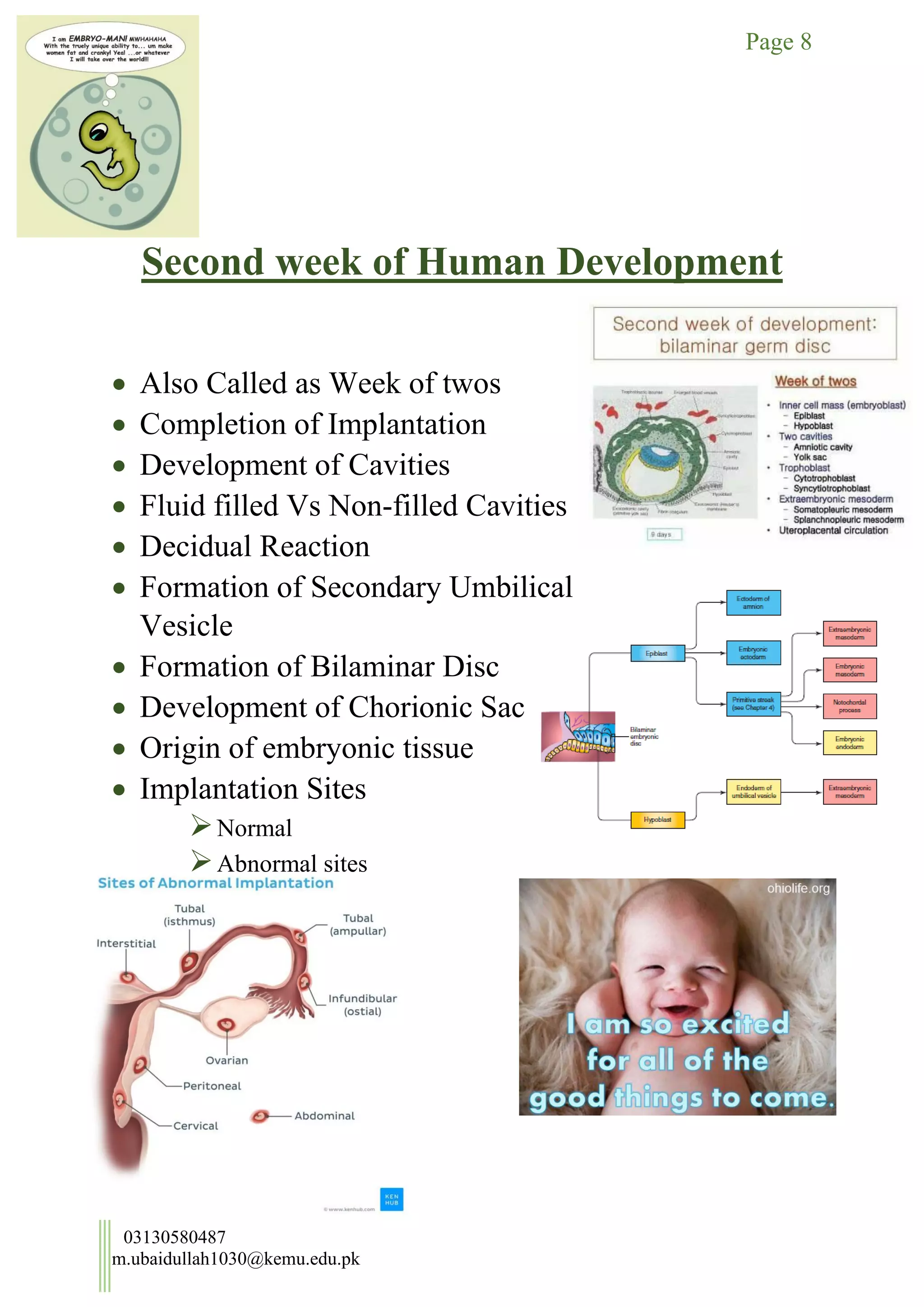 Embryology first year kemu guideline | PDF
