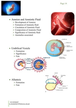 Embryology first year kemu guideline | PDF