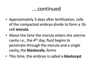 Embryology for anesthesia | PPT