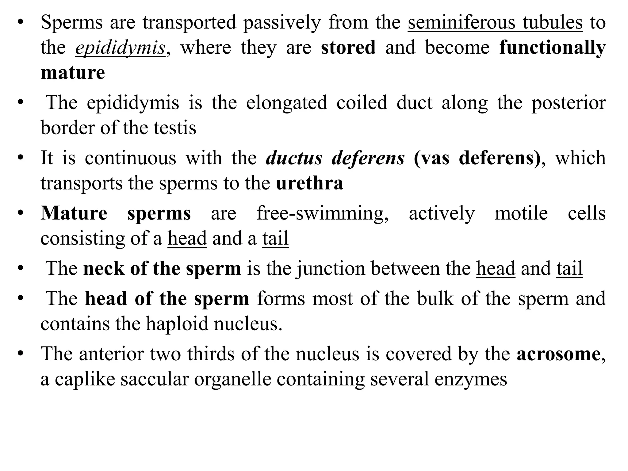 Embryology full note | PPTX