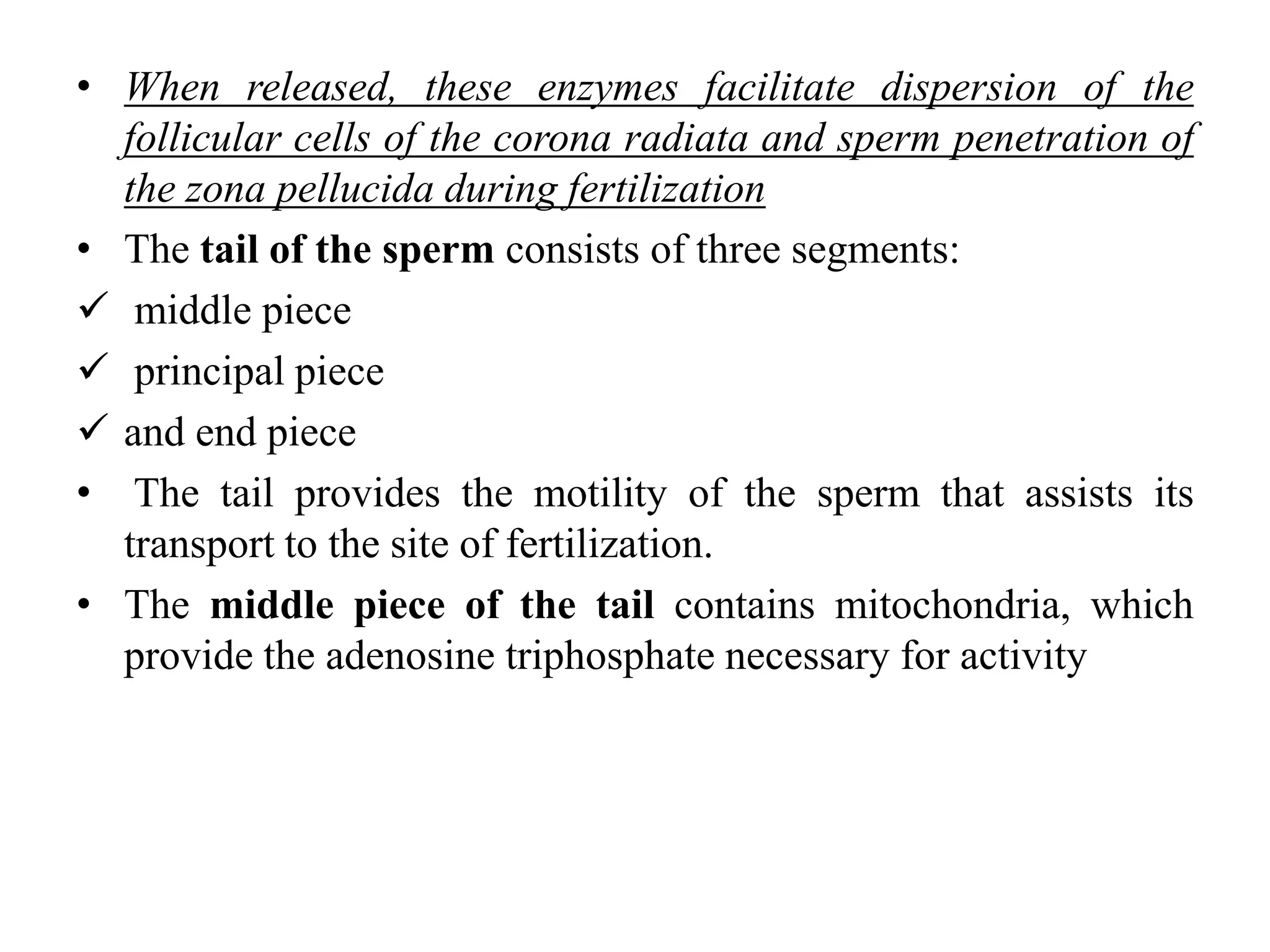 Embryology full note | PPTX