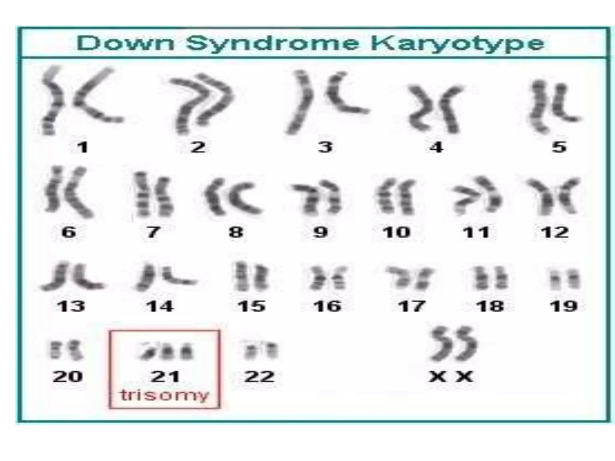 Embryology Full Note Pptx