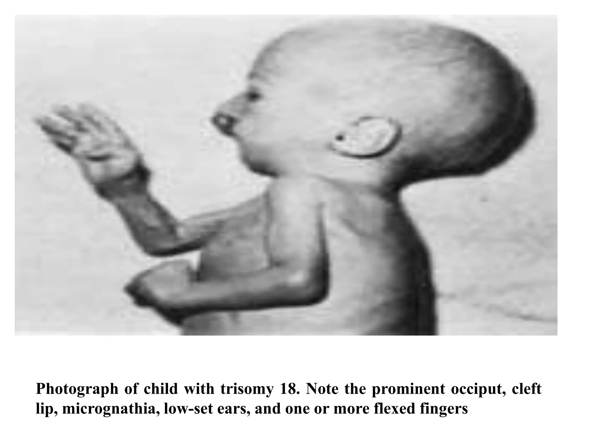 Embryology full note | PPTX
