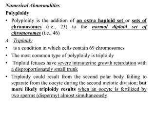 Embryology full note | PPTX