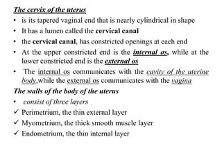 Embryology full note | PPTX