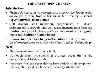 Embryology full note2 | PPT