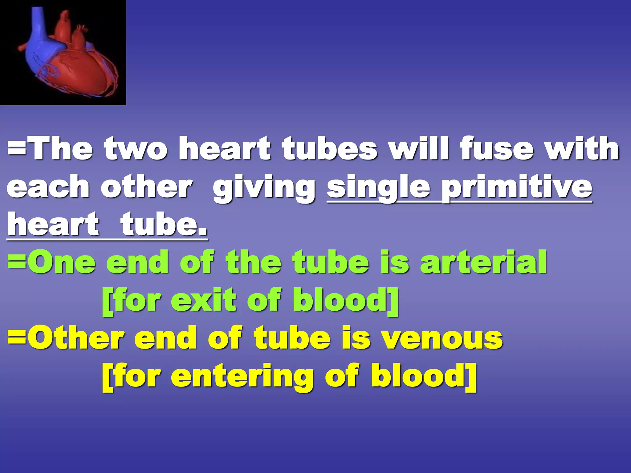 Embryology [heart.].ppt