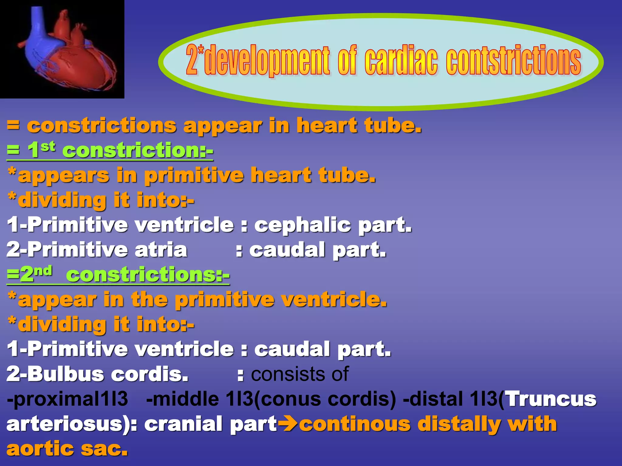 Embryology [heart.].ppt