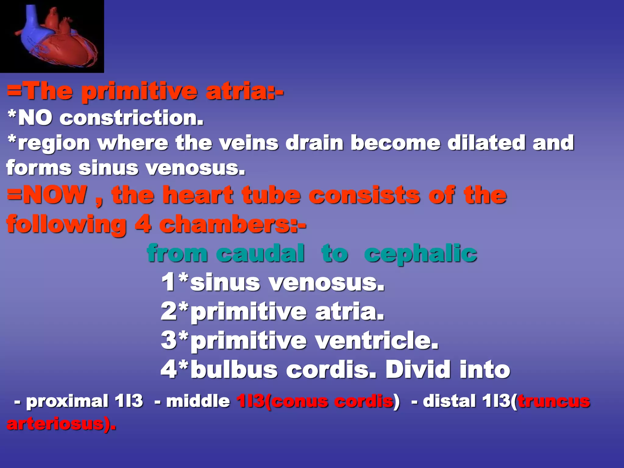 Embryology [heart.].ppt