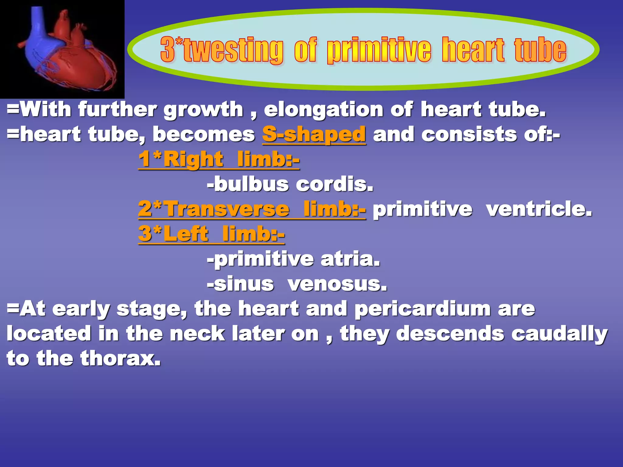 Embryology [heart.].ppt
